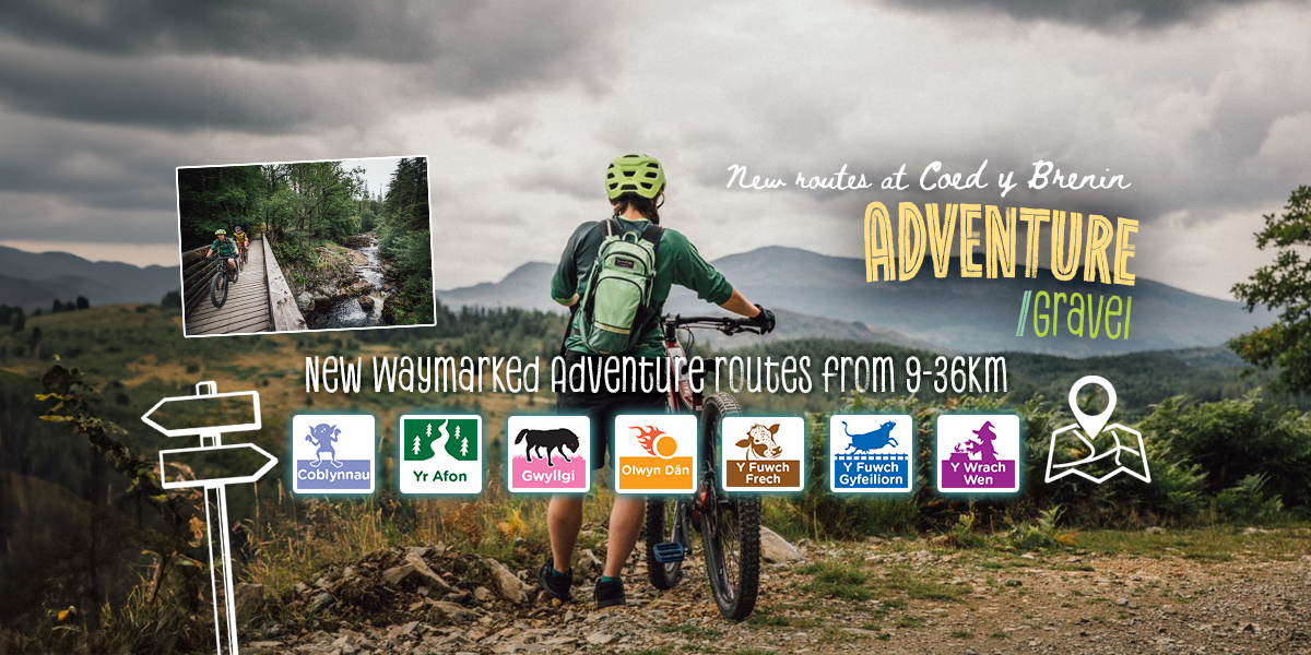 Adventure | Beics Brenin